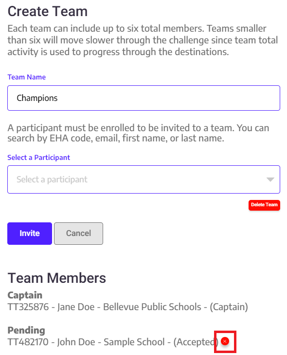How can I remove a member from my team? – Abhaya Well